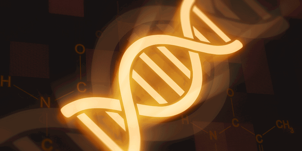 What is a dog DNA profile - Blog // Cellmark